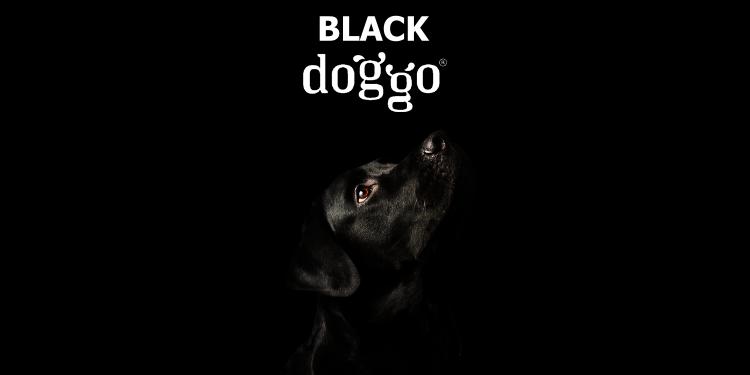 Black Doggo – doggochile