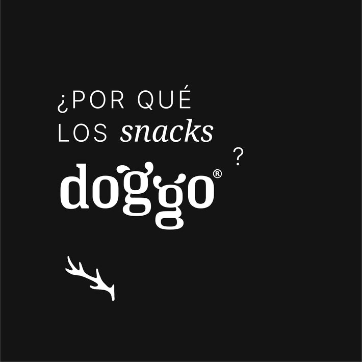 Sobre Nosotros – doggochile